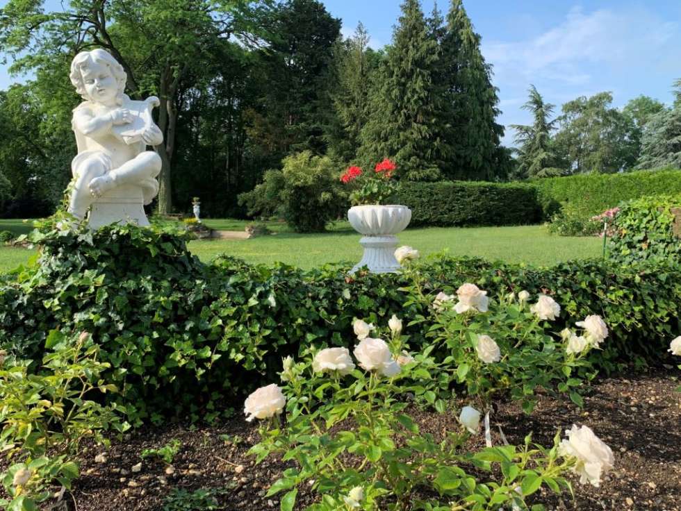 Le rosier « La Sauvagine Terre et Passion® Delflorobla » s’épanouit à ... Le rosier « La Sauvagine Terre et Passion® Delflorobla » s’épanouit à ...